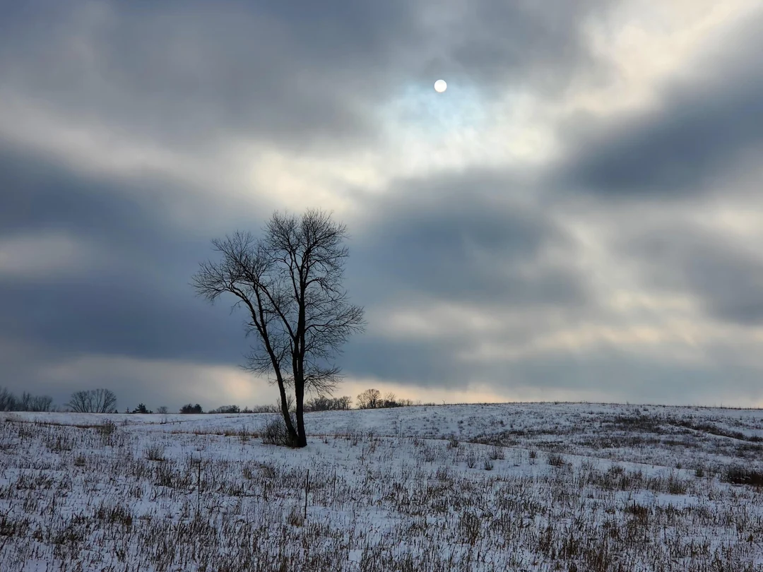 First glimpse of sun in the new year | Scrolller