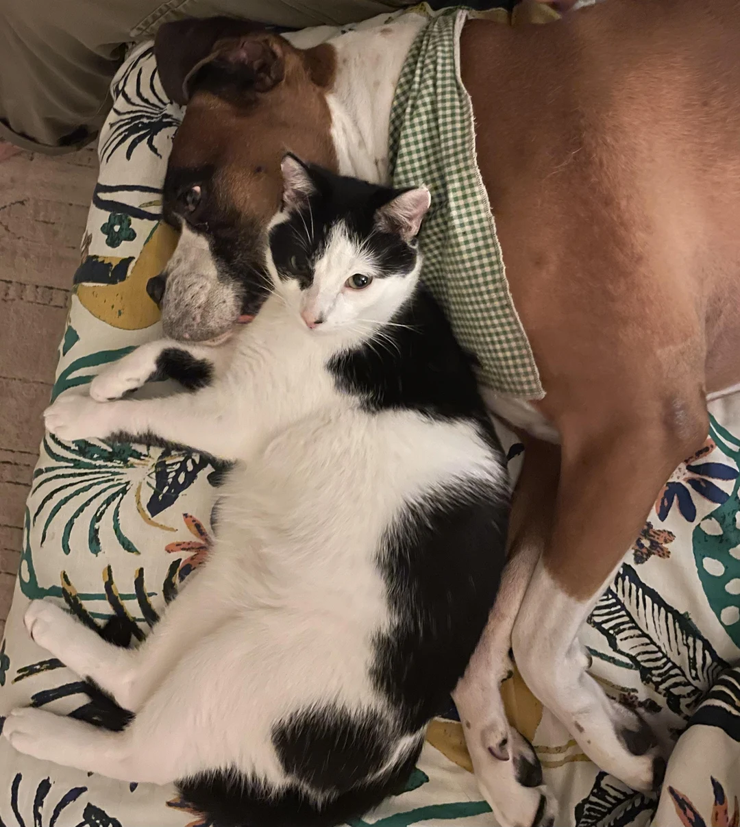 Ma’am. If you could just not with the camera. That would be great, thx | Scrolller