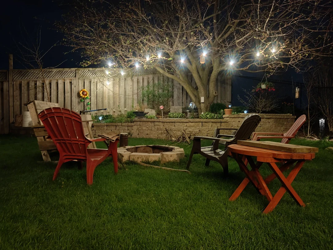Warm spring night in my yard | Scrolller
