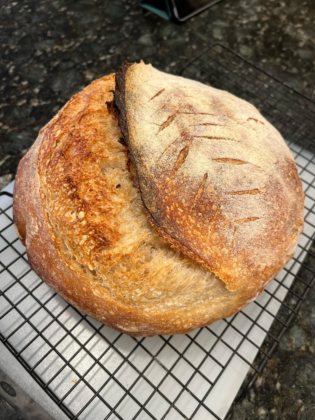 Third loaf turned out much better than the first two attempts | Scrolller