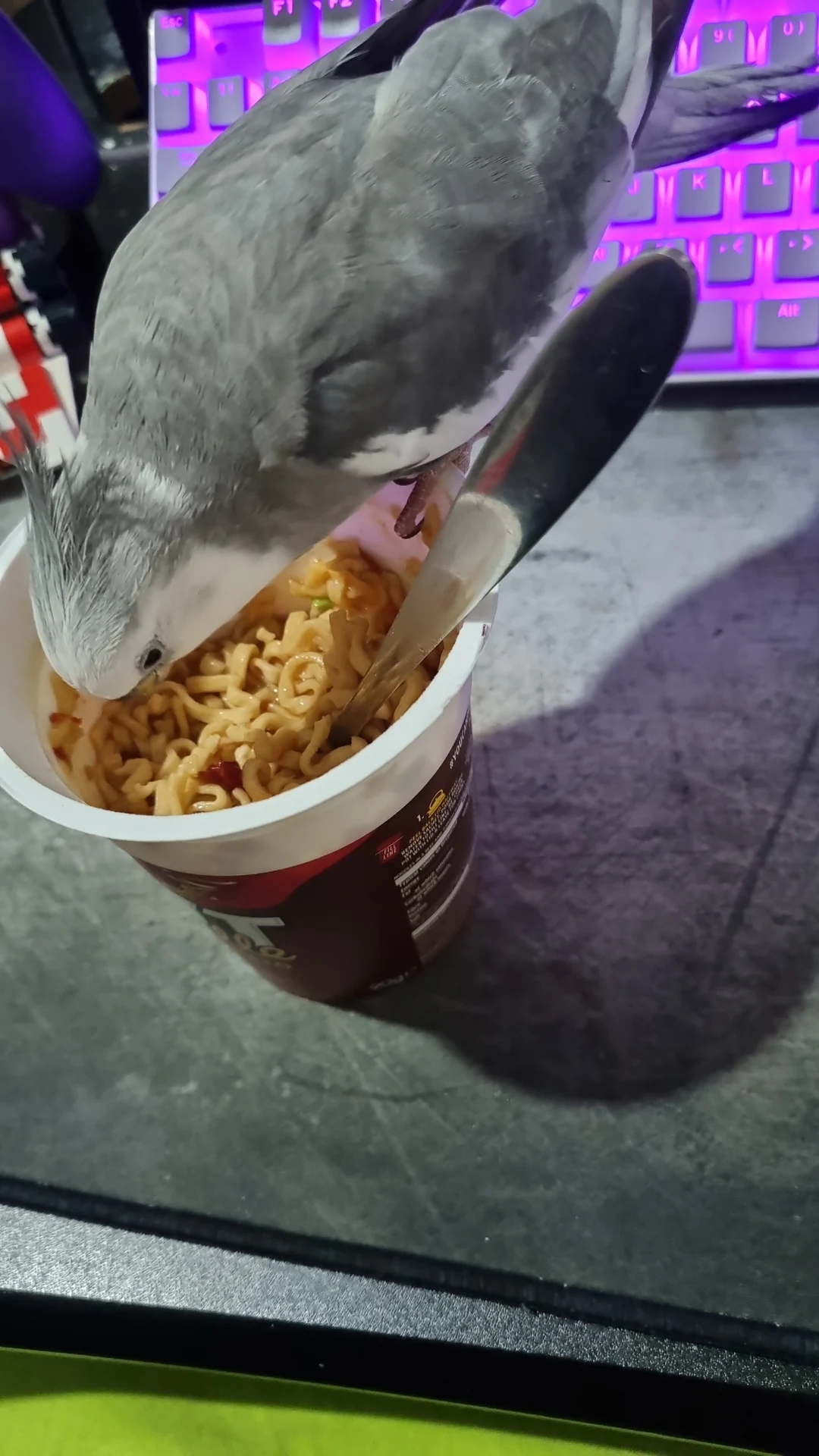 Guess that's his pot noodle now... 😂😂 | Scrolller
