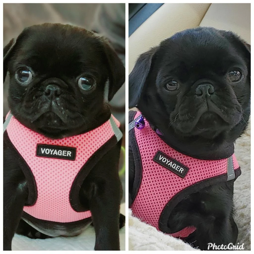 The difference 1 month makes | Scrolller