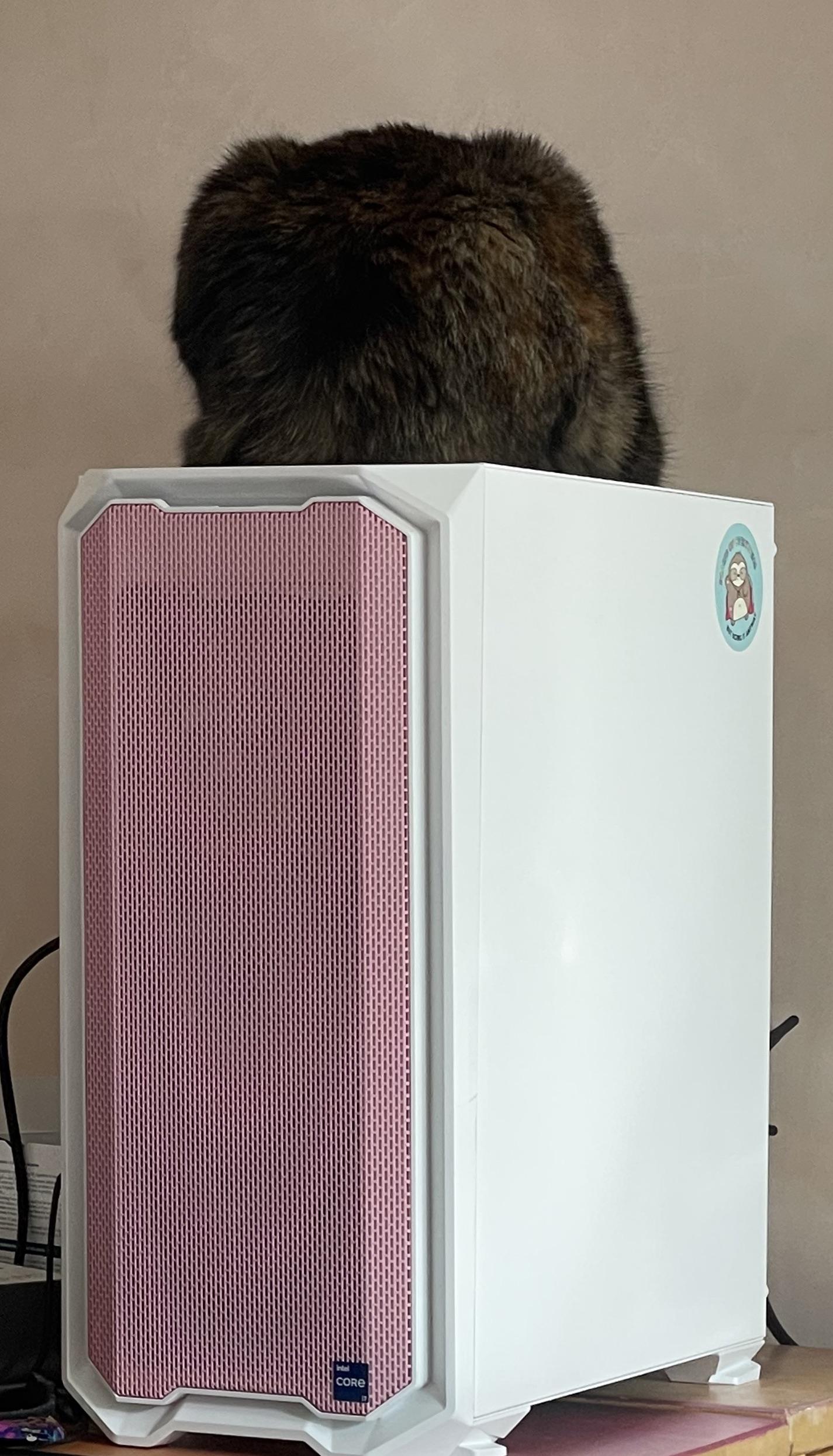 Moody loaf | Scrolller