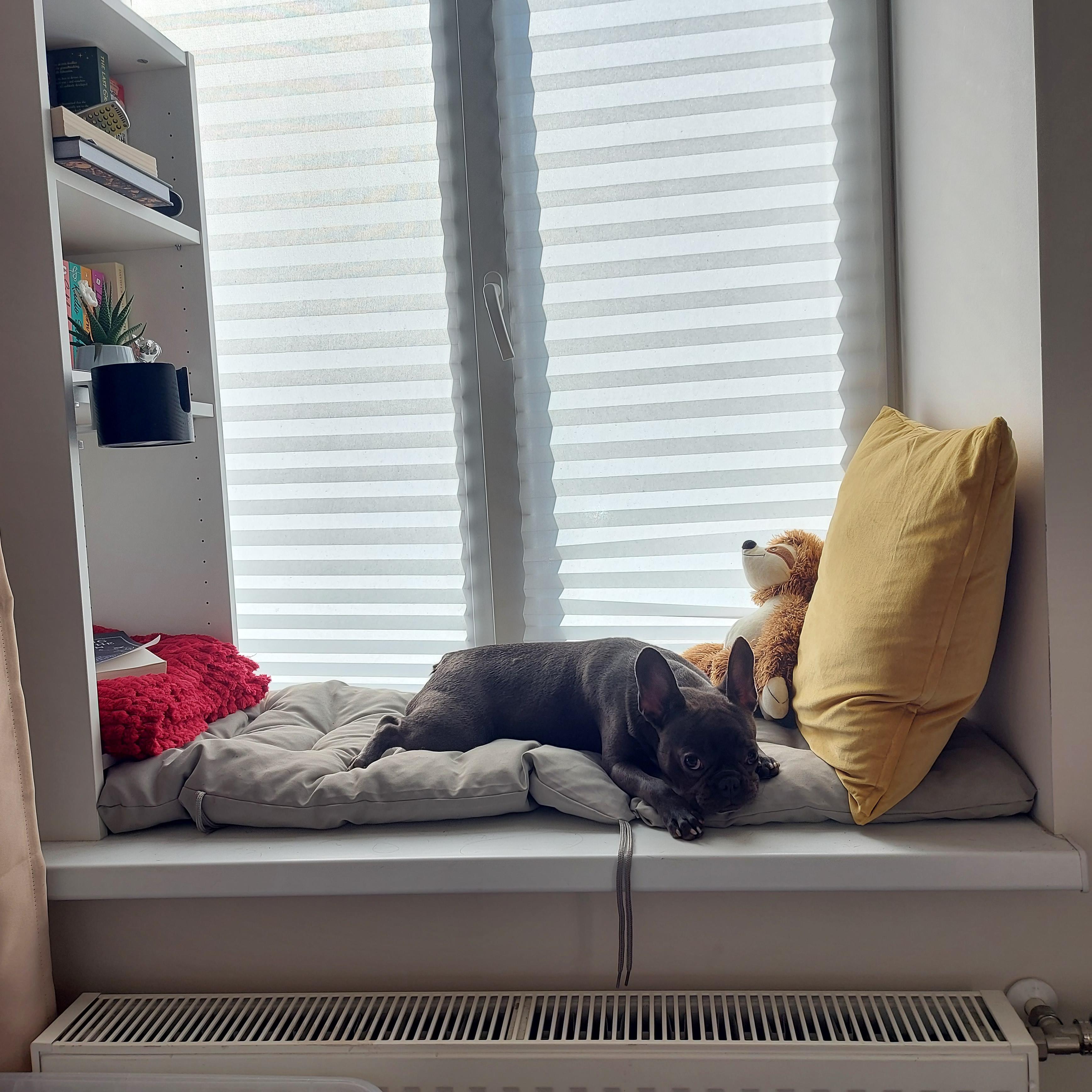 Made my window sill into a reading spot | Scrolller