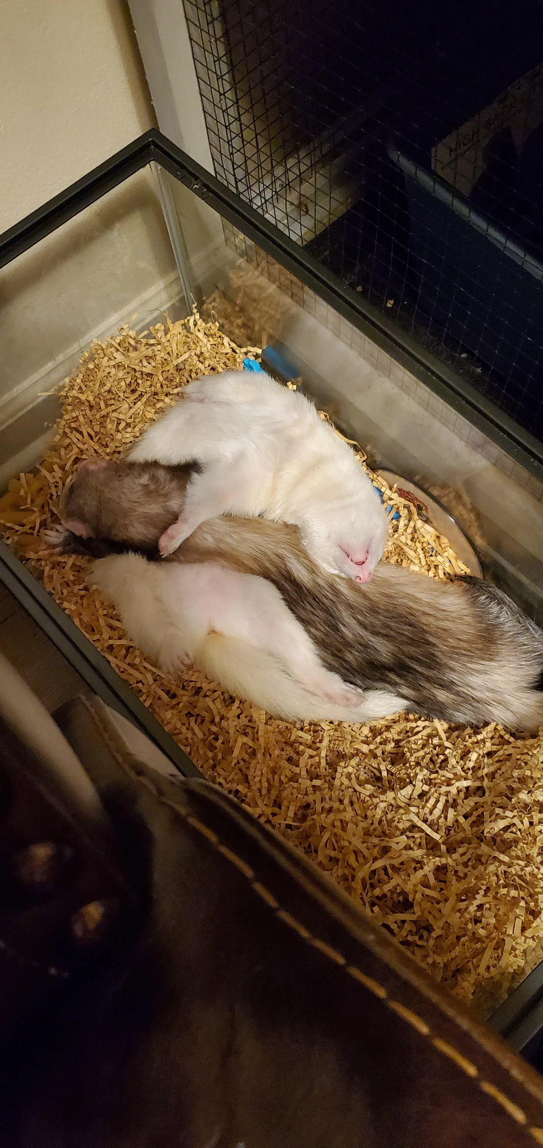 Best friends forever | Scrolller