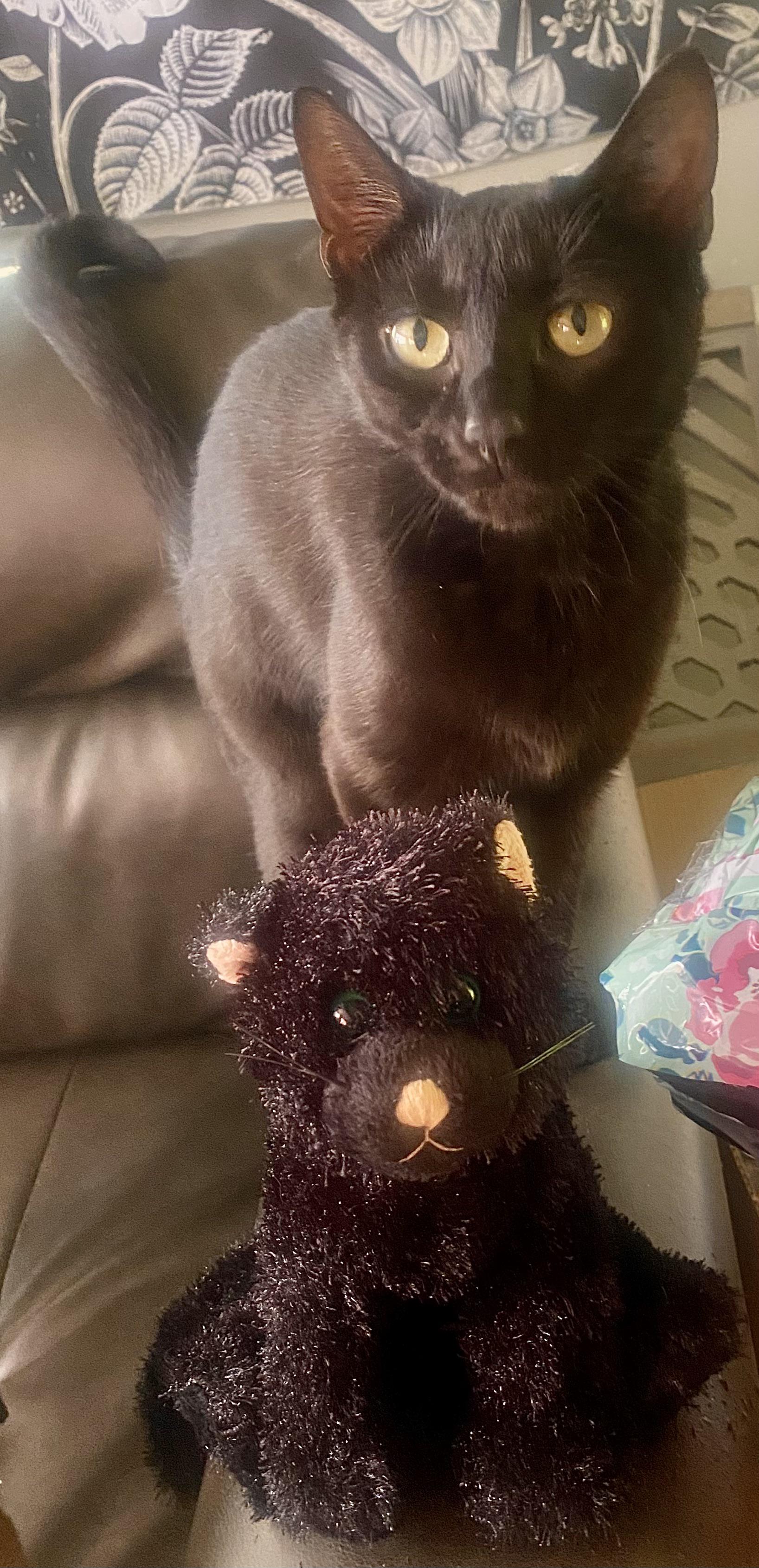 Matching | Scrolller