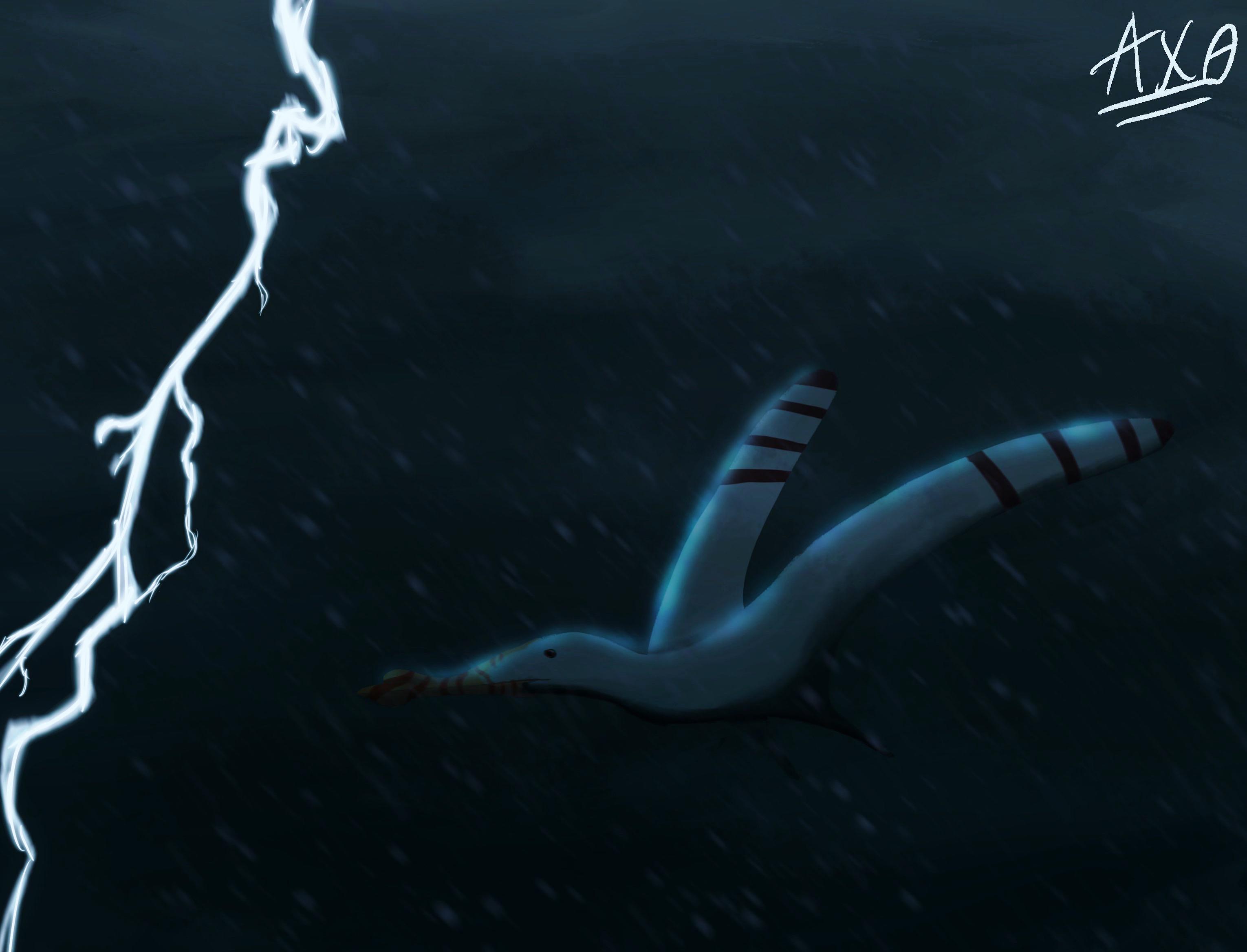 [OC] “storm chaser” | Scrolller