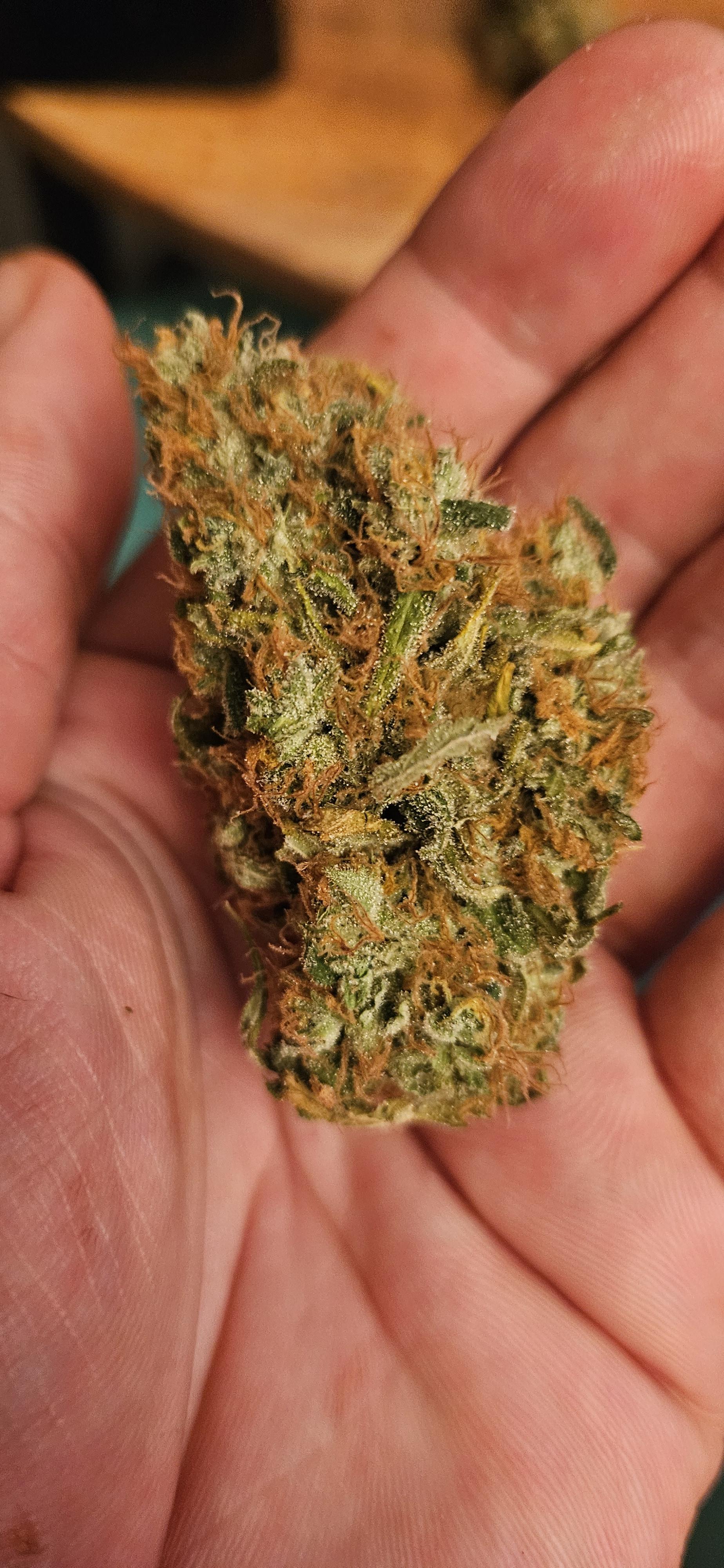 My second homegrown attempt. | Scrolller