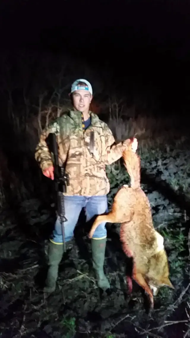 Not a whitetail | Scrolller