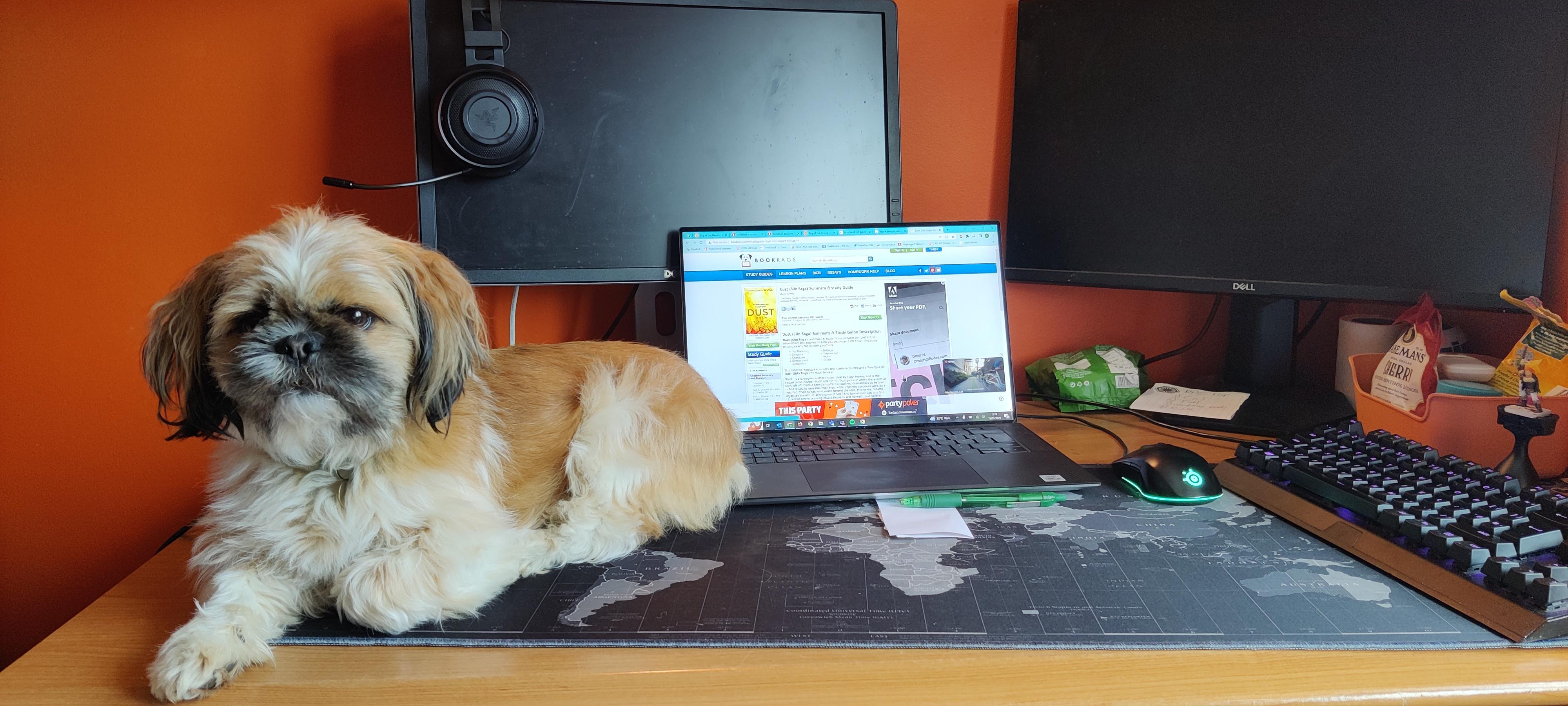 My WFH setup | Scrolller