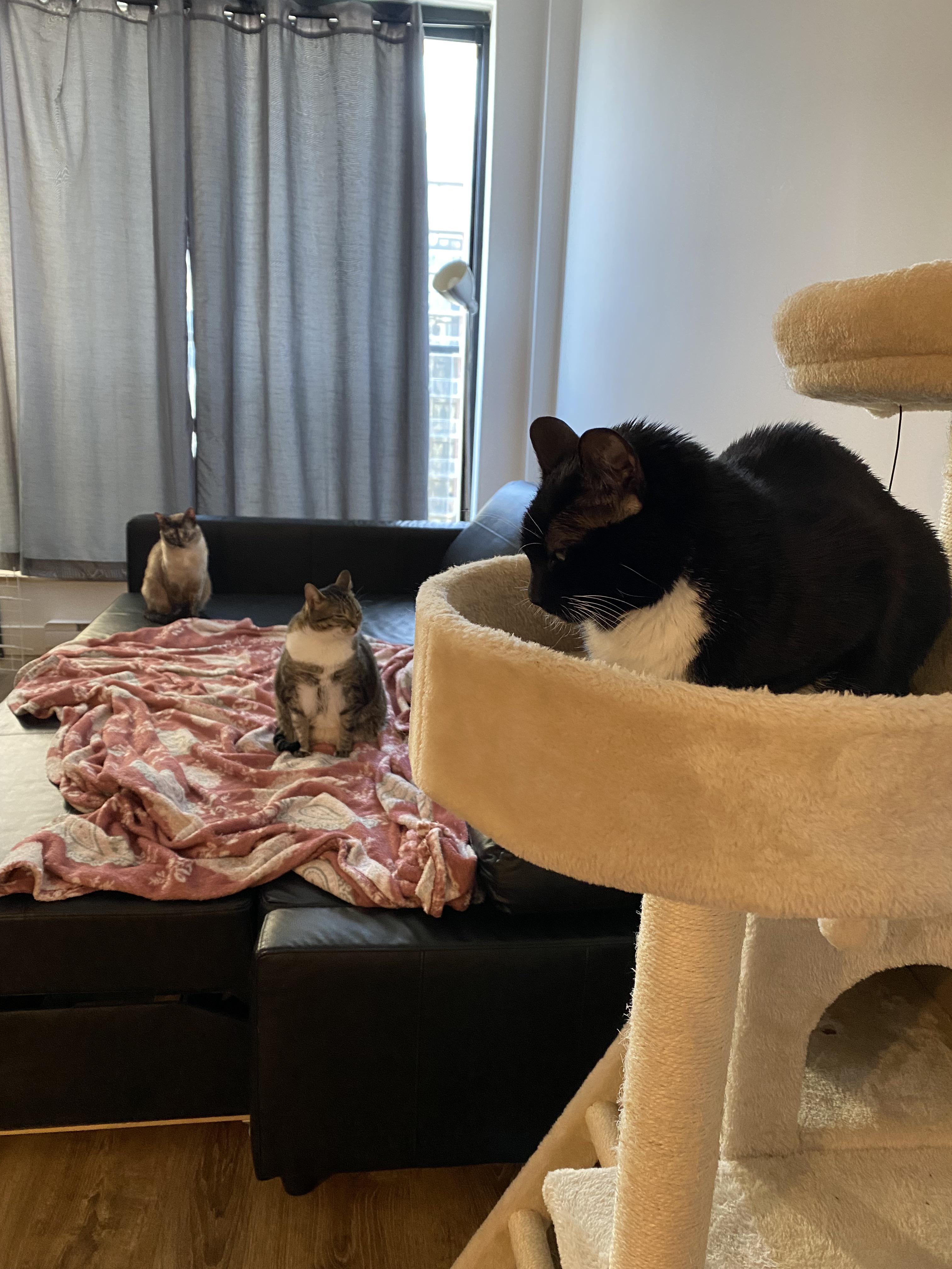 Indie band album cover | Scrolller