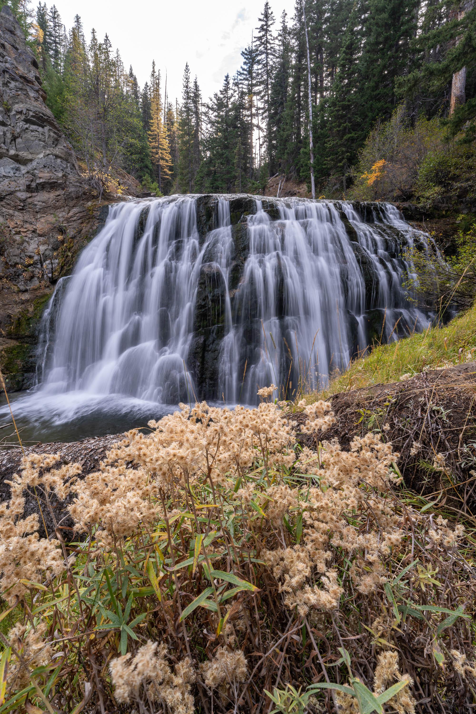 Last remnants of Fall - Washington State [OC] [2000x3000] | Scrolller