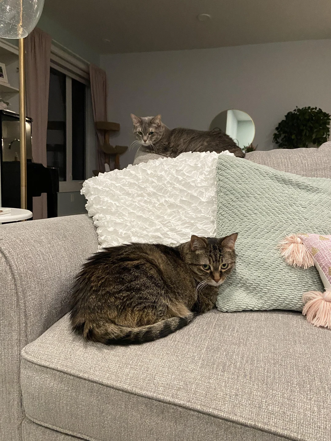 Double Couch Loaves | Scrolller