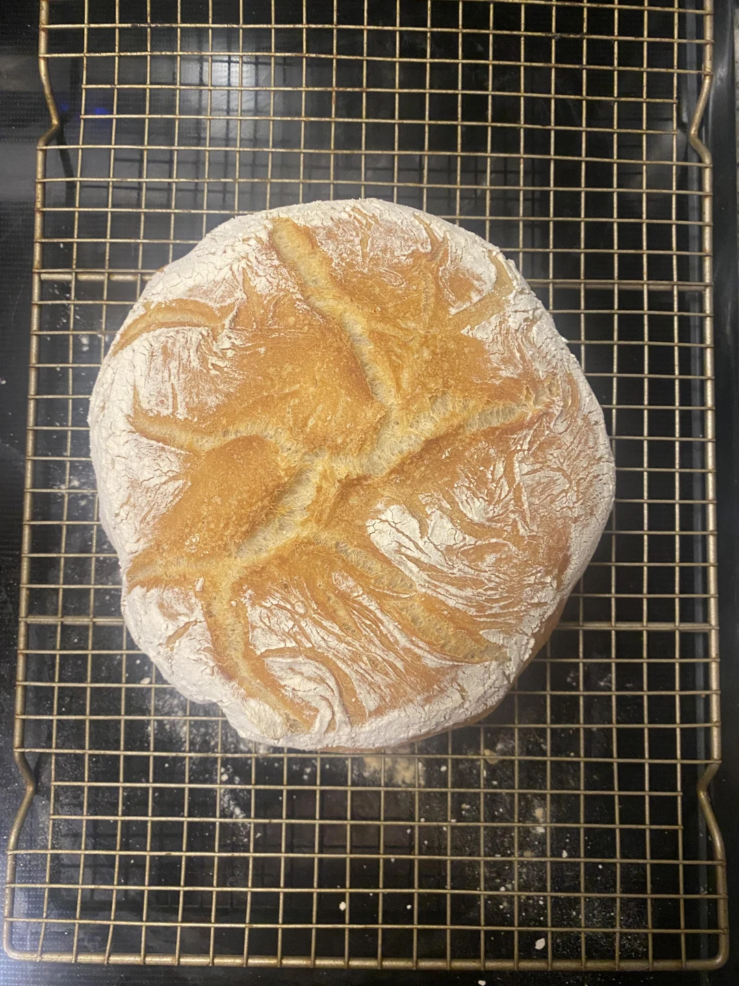 Very exciting Dutch oven loaf | Scrolller
