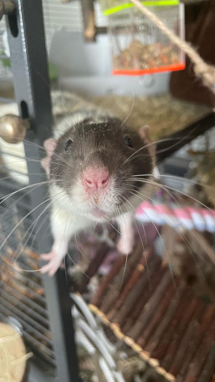 He is so circular | Scrolller