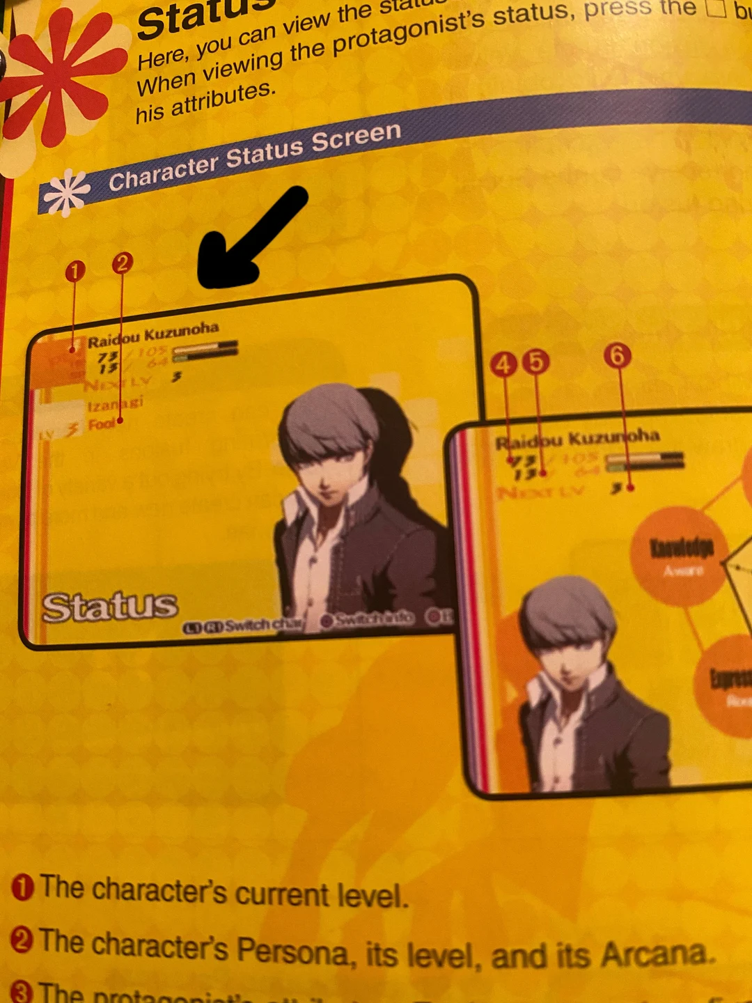 Vanilla P4's manual gave Yu Raidou's name | Scrolller