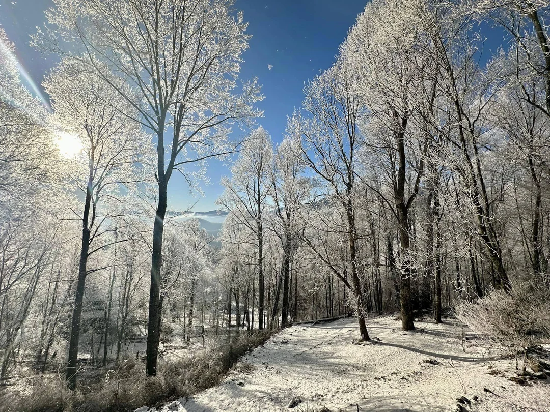 Snowy winter scene in the North Carolina mountains. | Scrolller