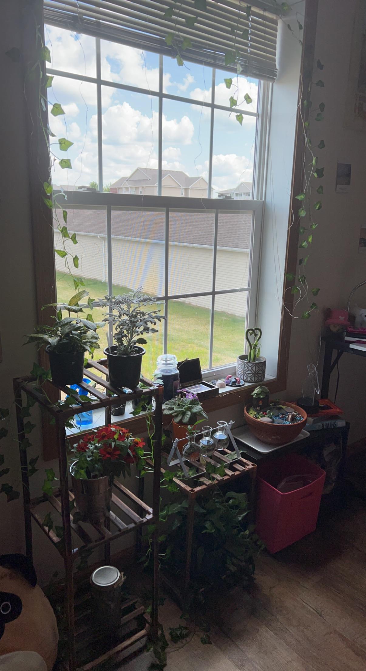 Bedroom Window w/ Cat Ledge | Scrolller