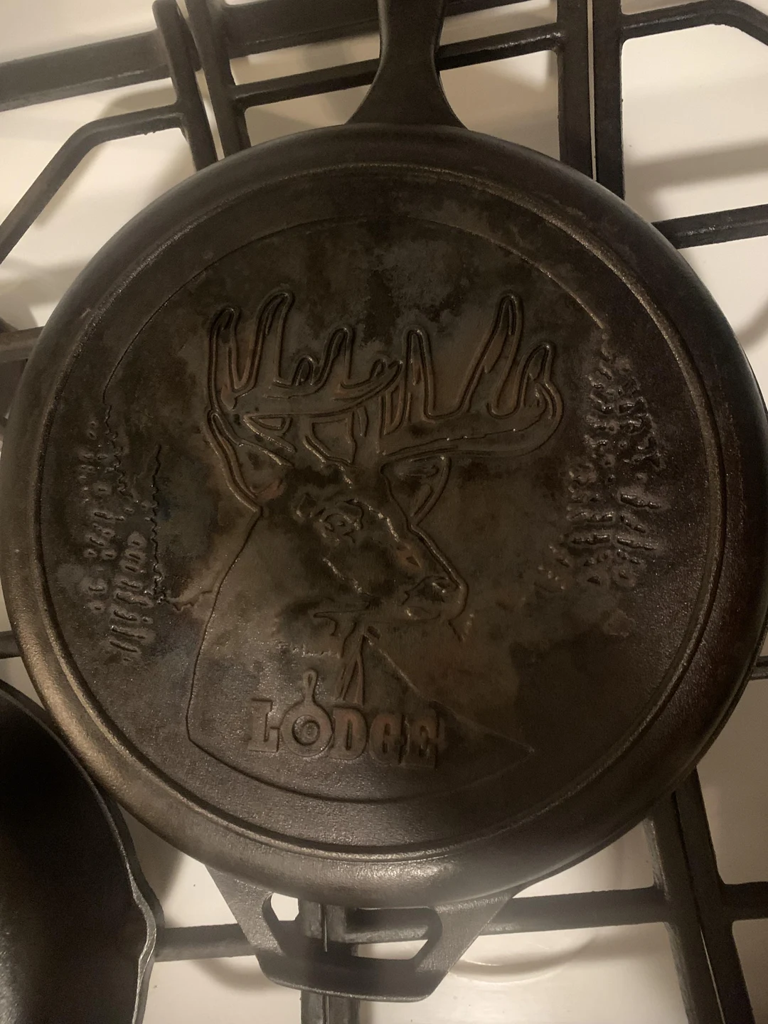 Lodge wildlife series | Scrolller