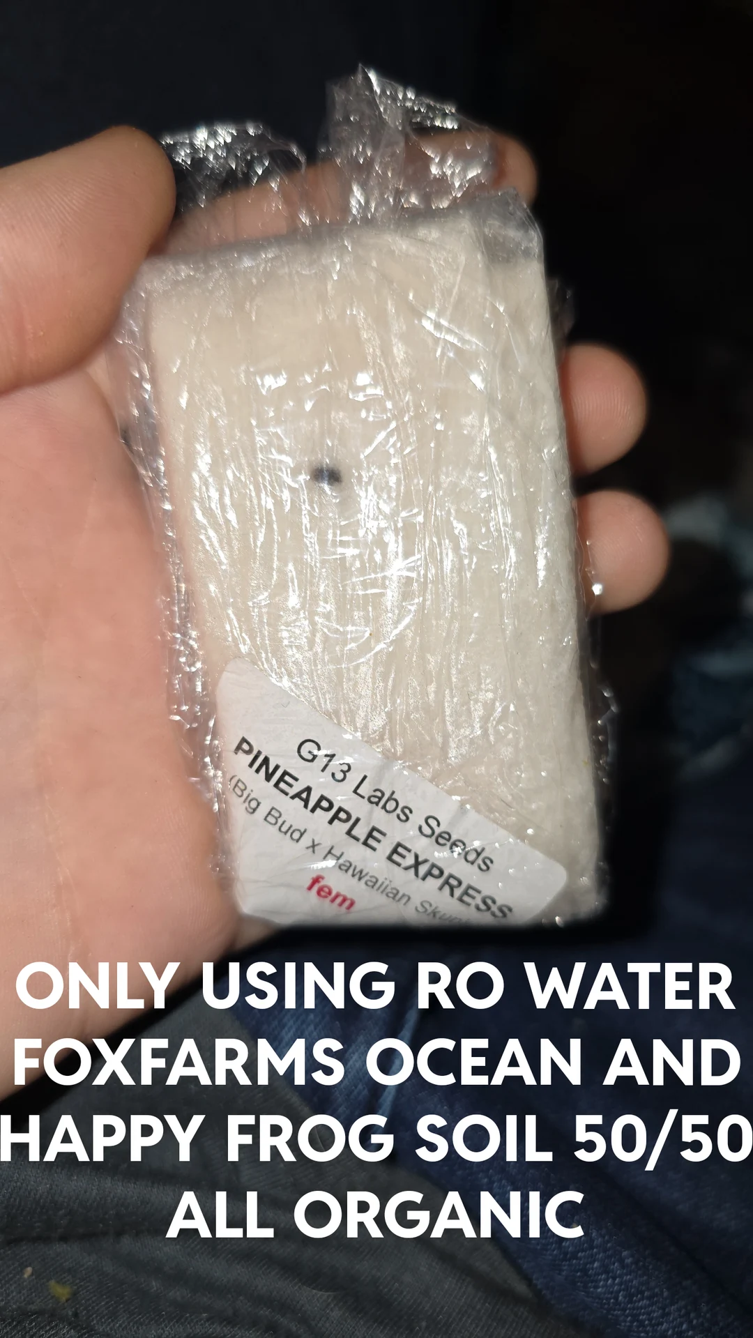 G13 Labs is the original cultivators of Pineapple Express | Scrolller