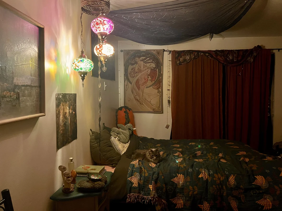 Cat approved cozy bedroom | Scrolller