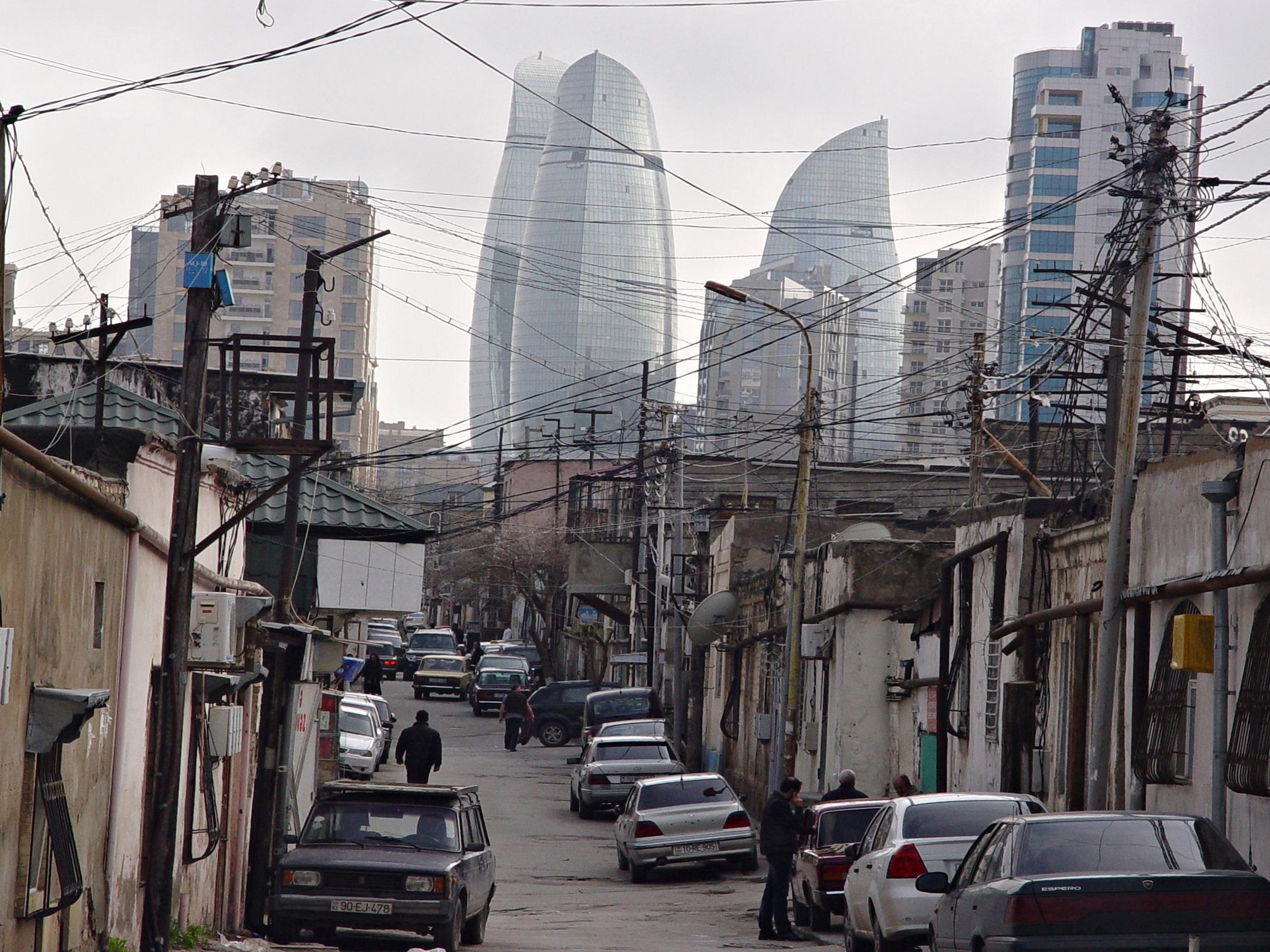 Day 3654: our snail overlords continue their dominant reign | Scrolller