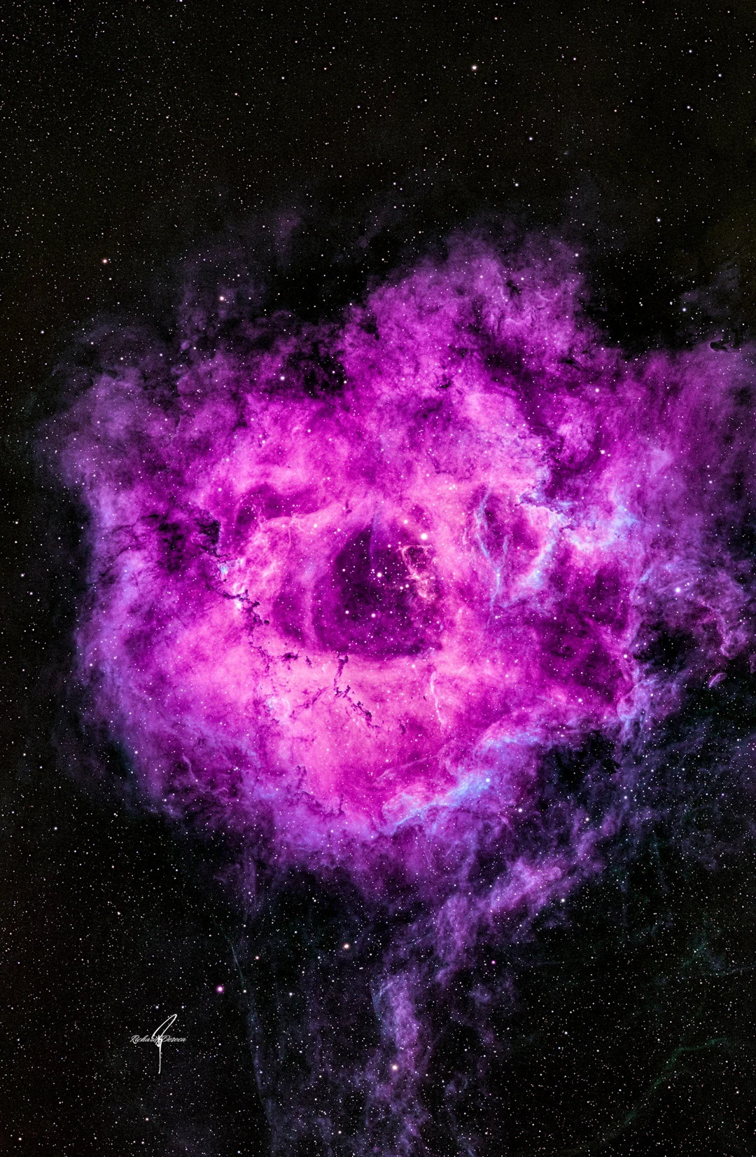 Rosette Nebula | Scrolller