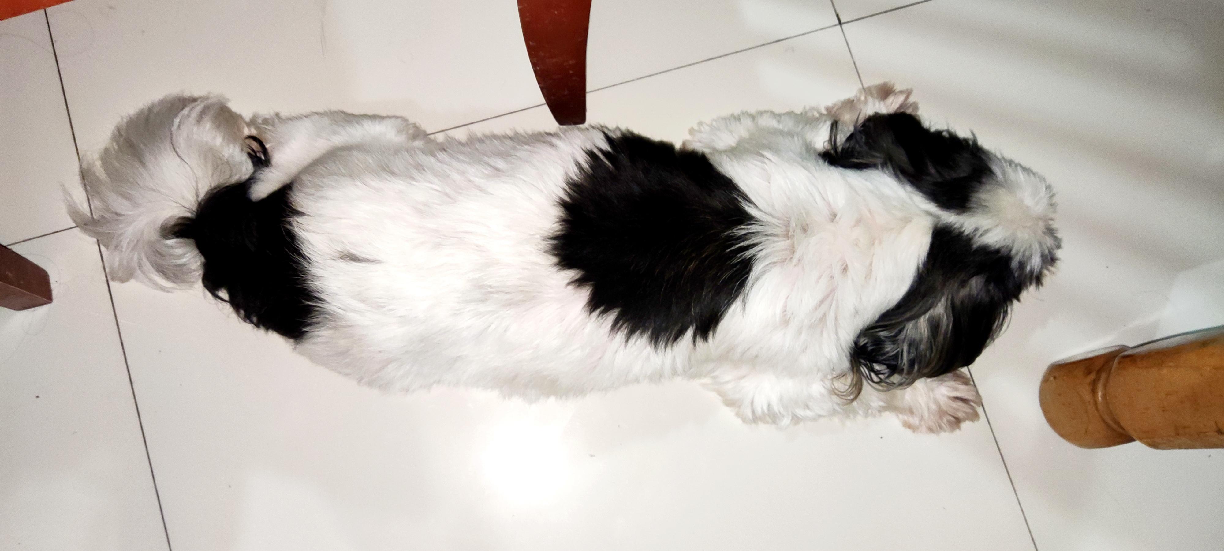 Bellatrix's sleeping position here makes her look like a fish... A mer-tzu? | Scrolller