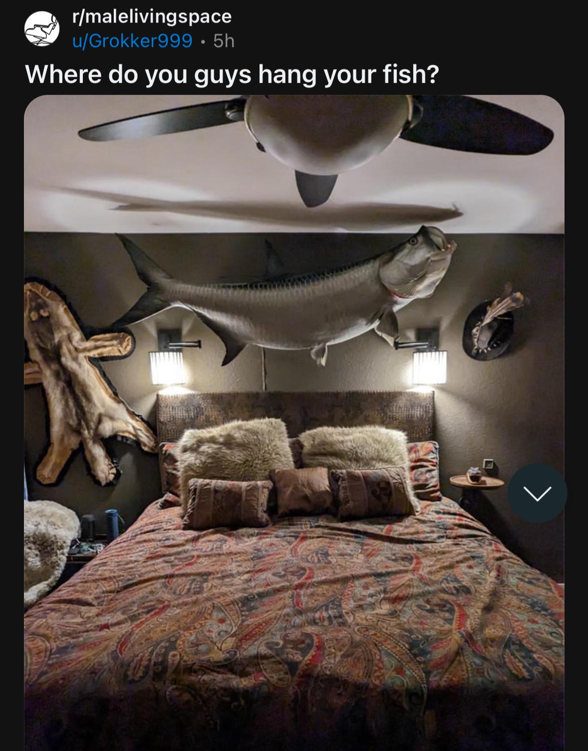 In the lower level, of course | Scrolller