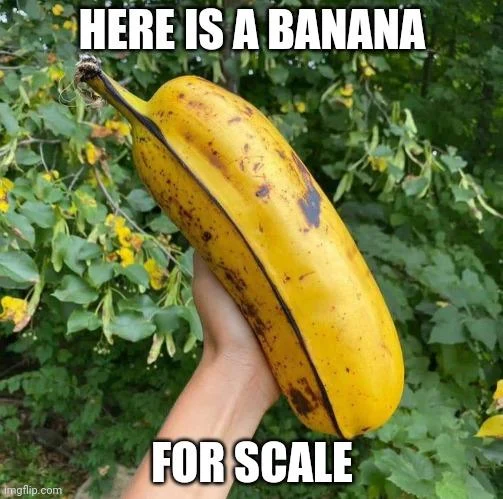 Banana for scale | Scrolller