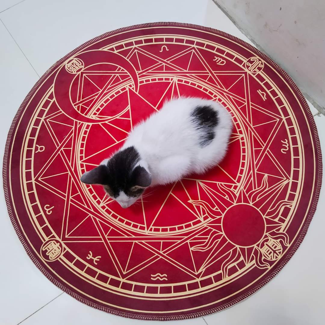 Summoning circle | Scrolller