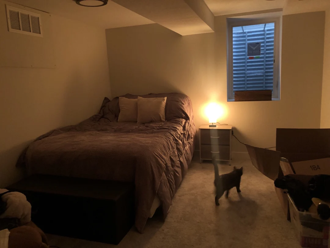 Our basement spare bedroom. | Scrolller