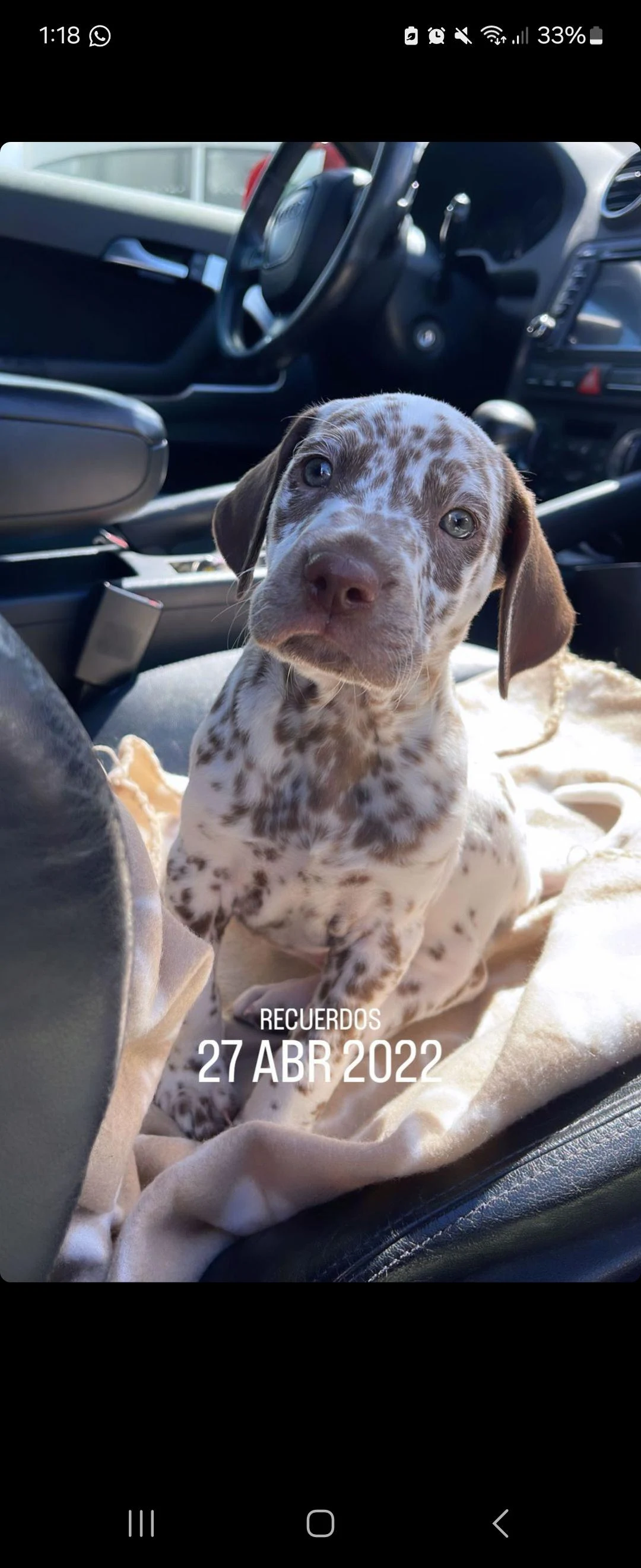 And what can you tell me about this beauty? how fast they grow | Scrolller