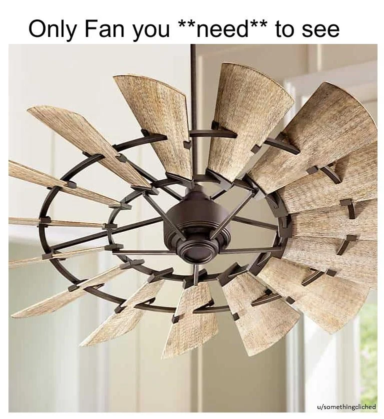 OnlyFan you need to see | Scrolller