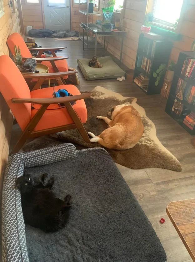 Double defeat | Scrolller