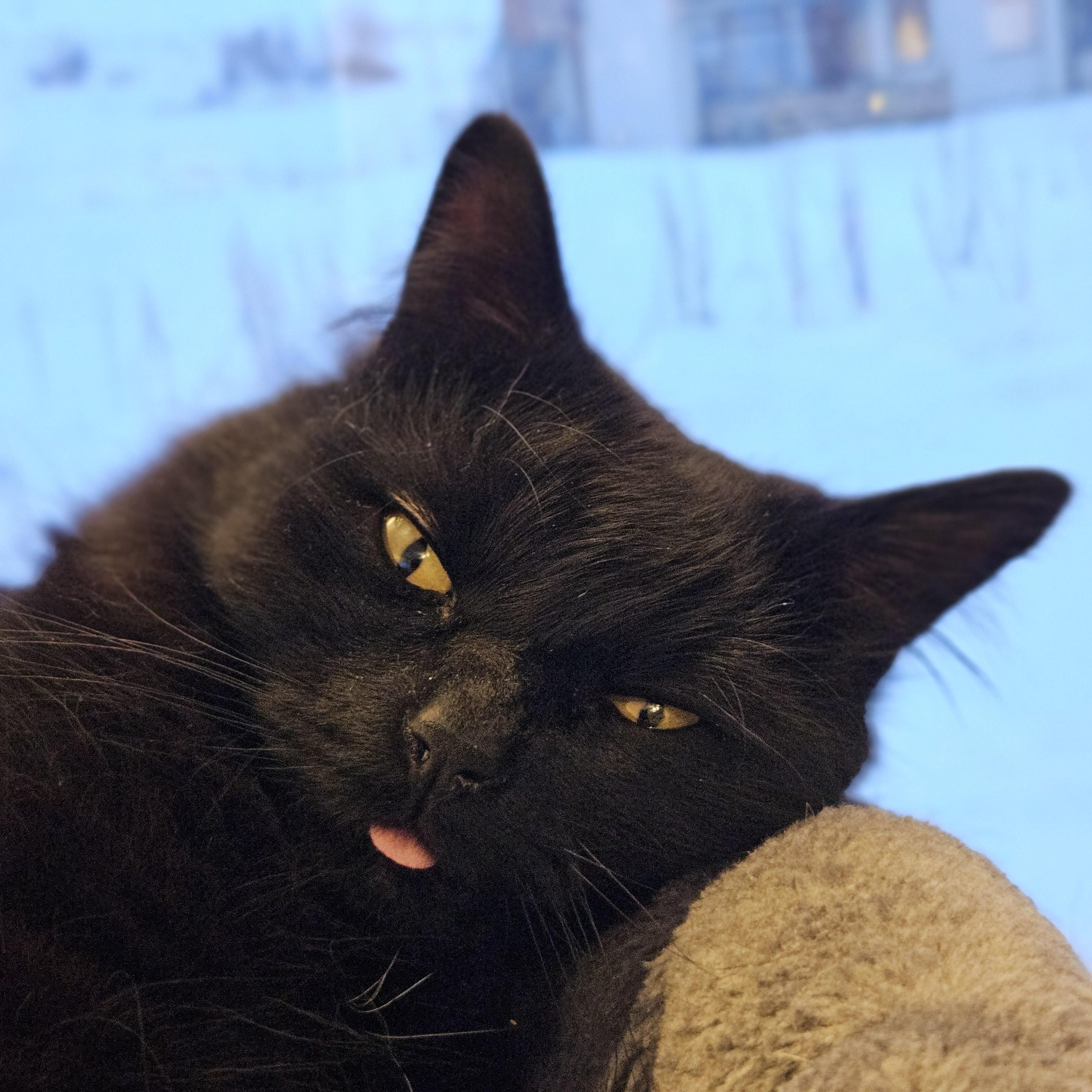 He is such a supermodel!! (Sometimes) | Scrolller