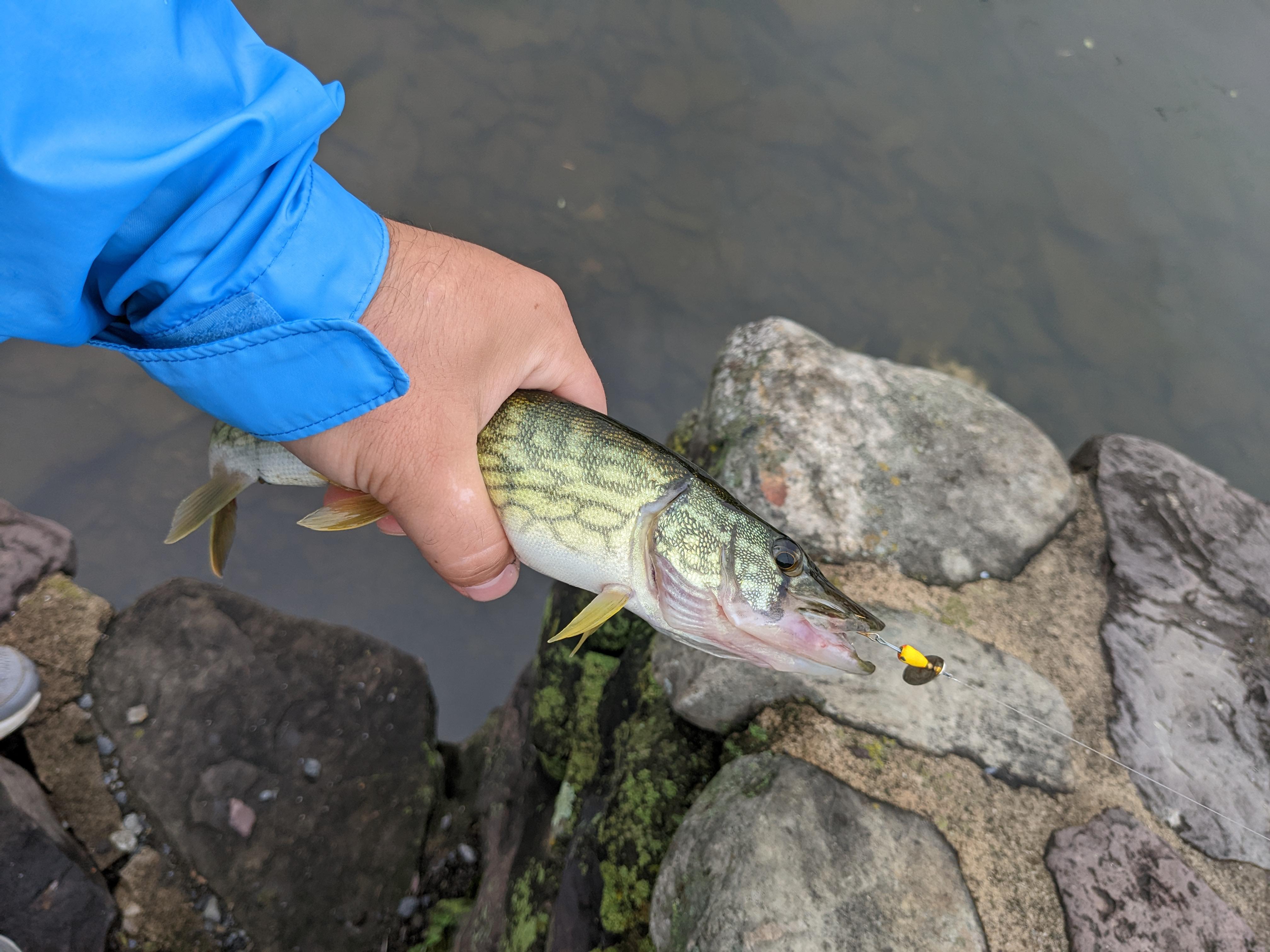 Discover more like Fishing: Canal fishing fun and Related Content | Scrolller