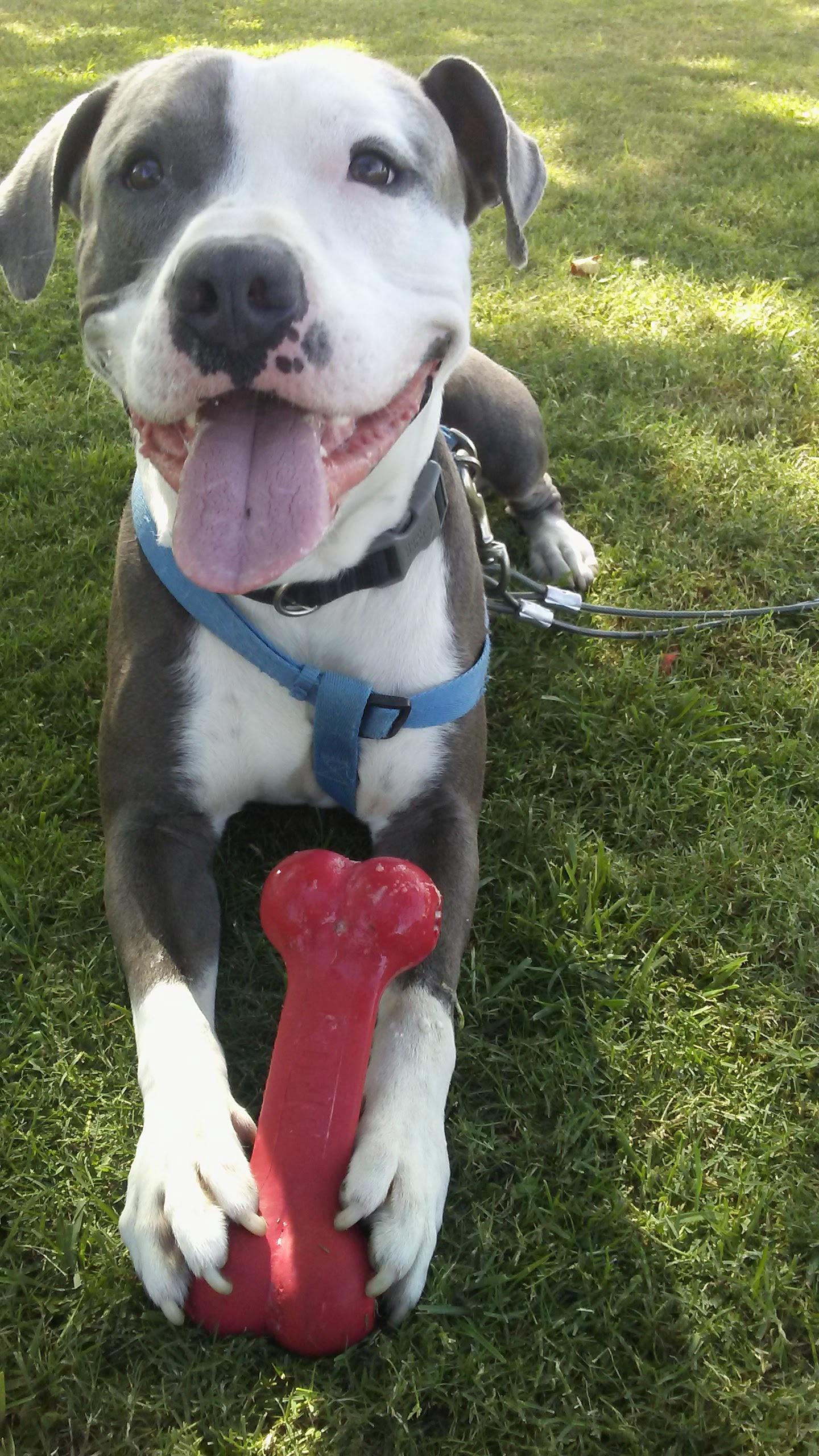 (OC) Say cheese!! | Scrolller