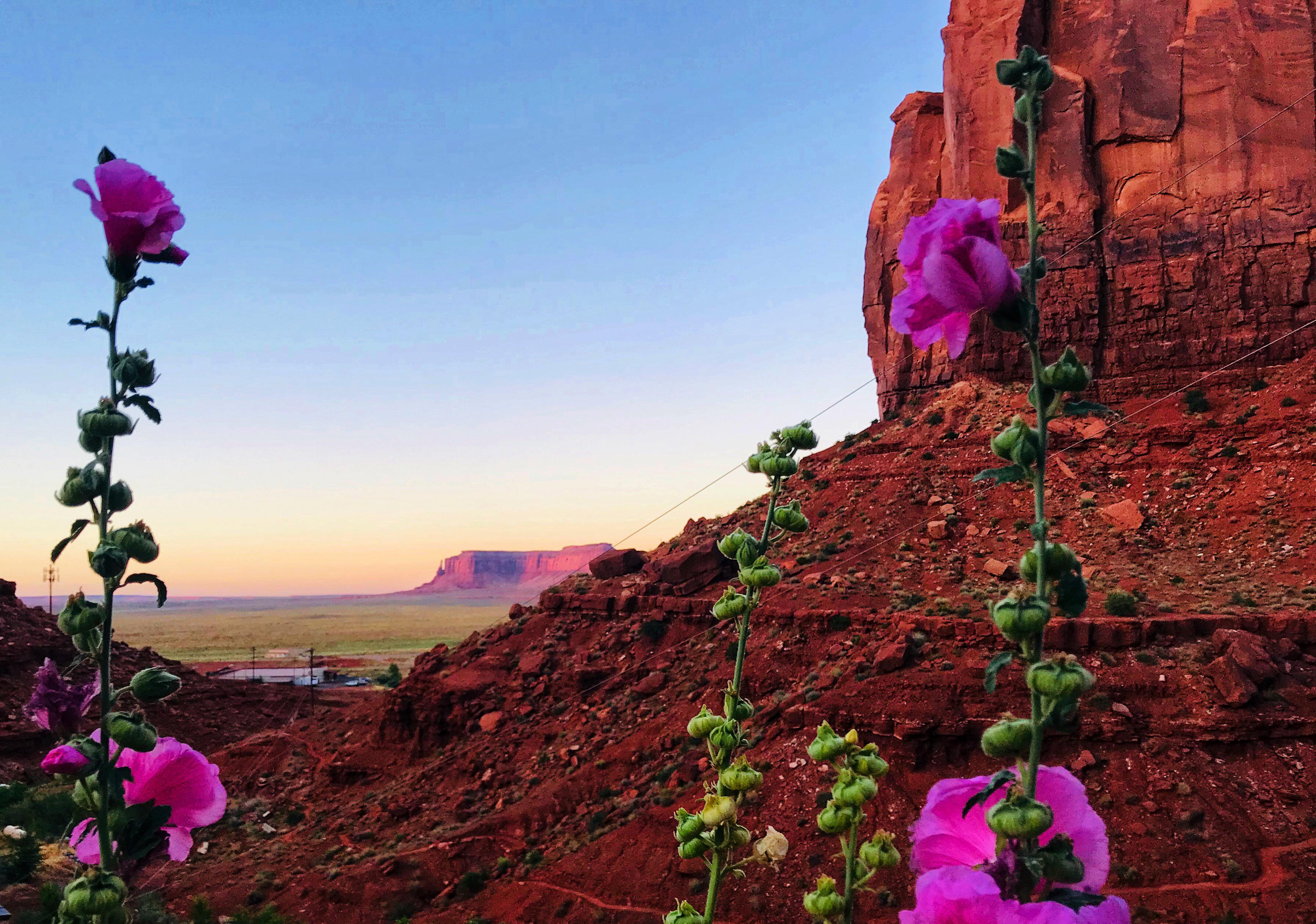 Monument Valley | Scrolller