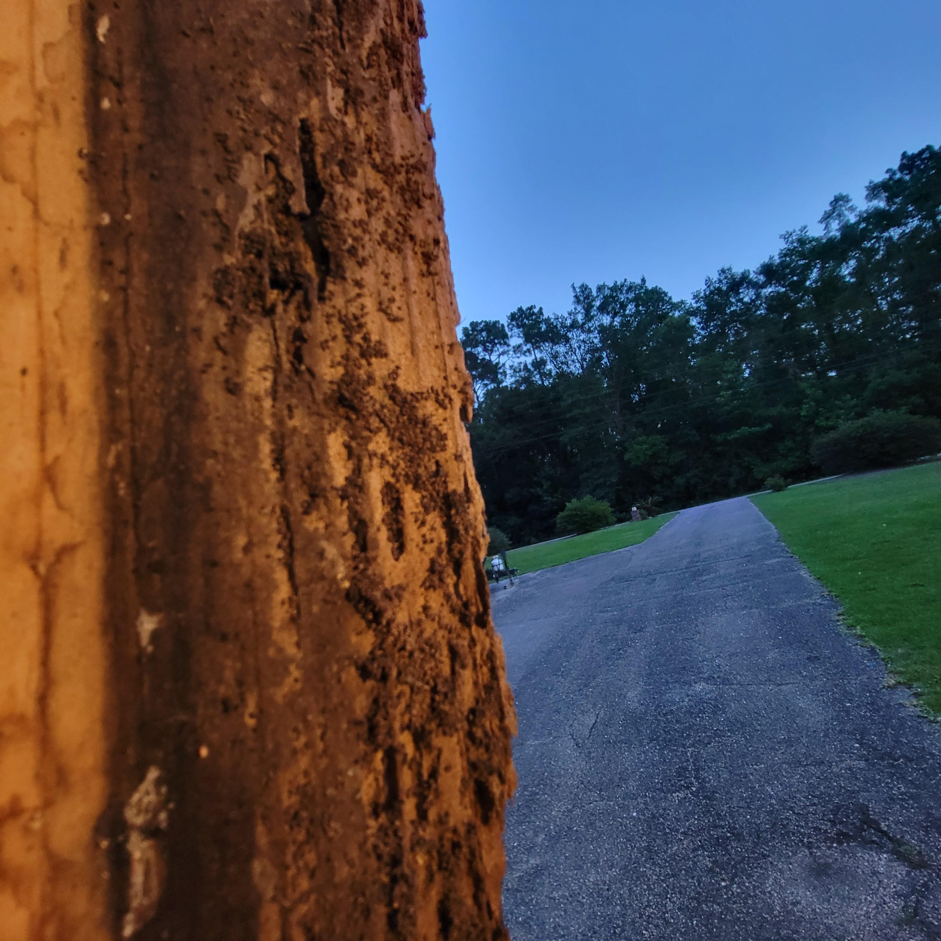 Is this termite damage? | Scrolller