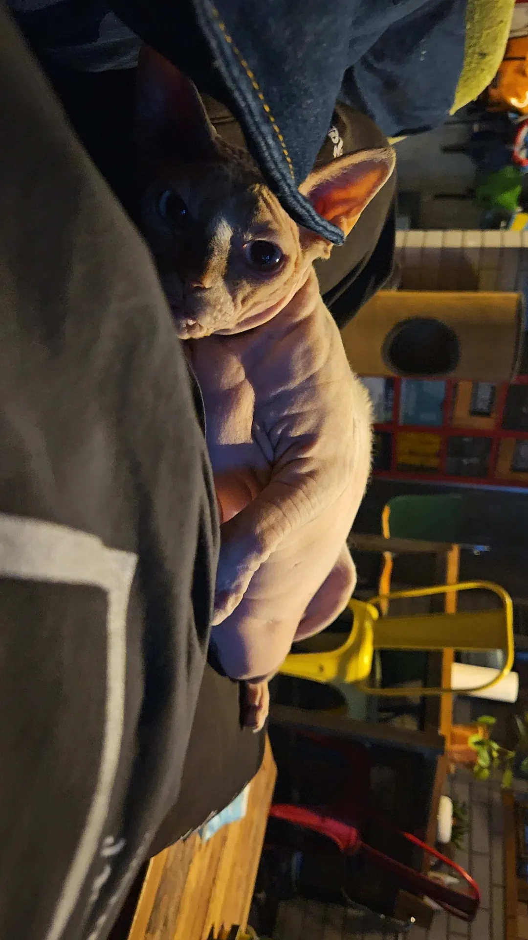 Show me your little weirdos | Scrolller