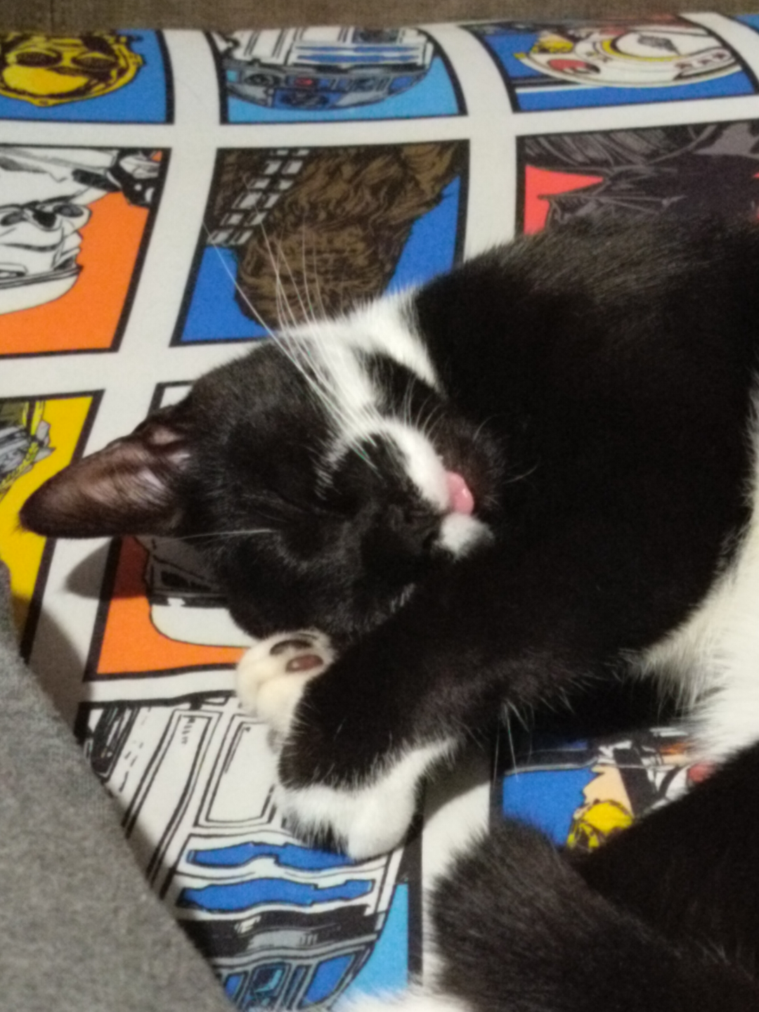 My girl Silvia has a better mustache than me :3 | Scrolller