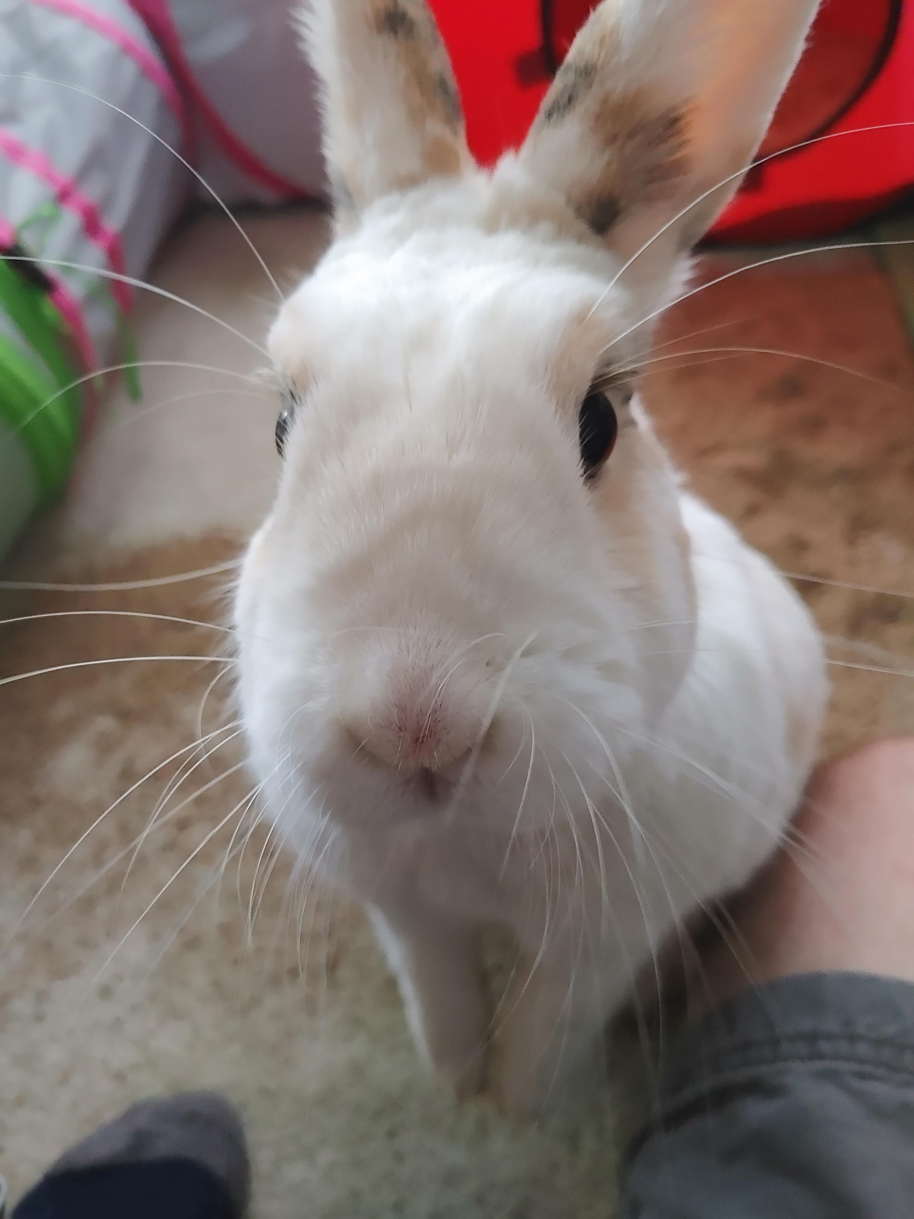 Master criminal at her crime scene. | Scrolller