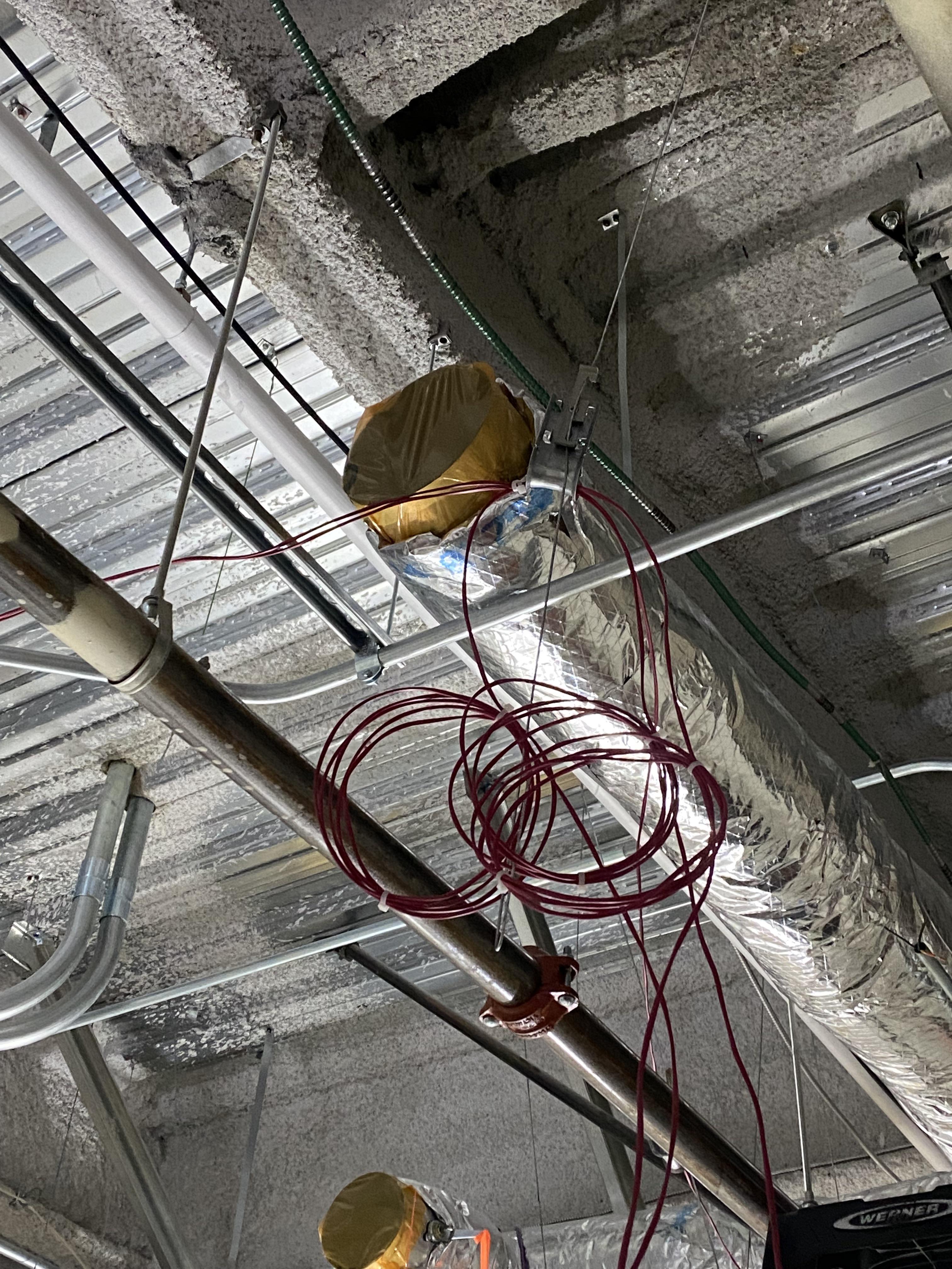 Mild red rocket | Scrolller