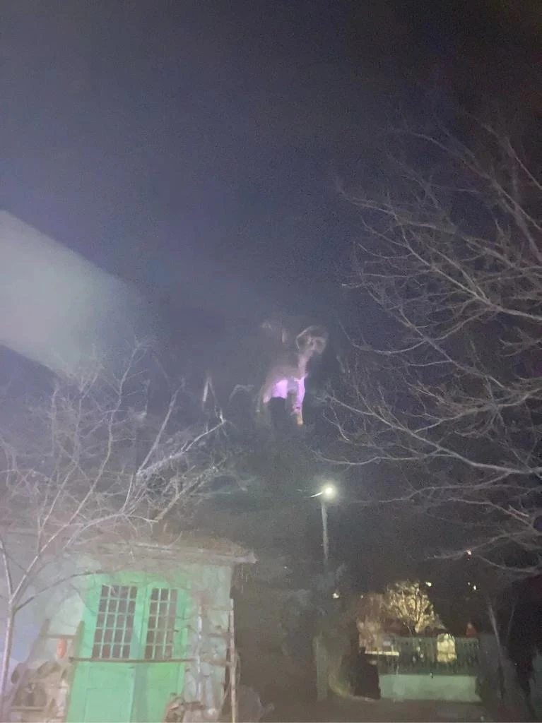 Bones from the void | Scrolller