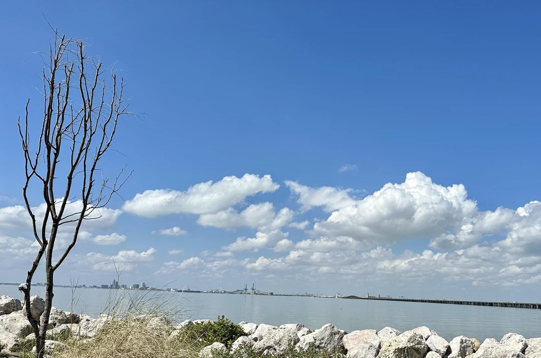 South Tx | Scrolller