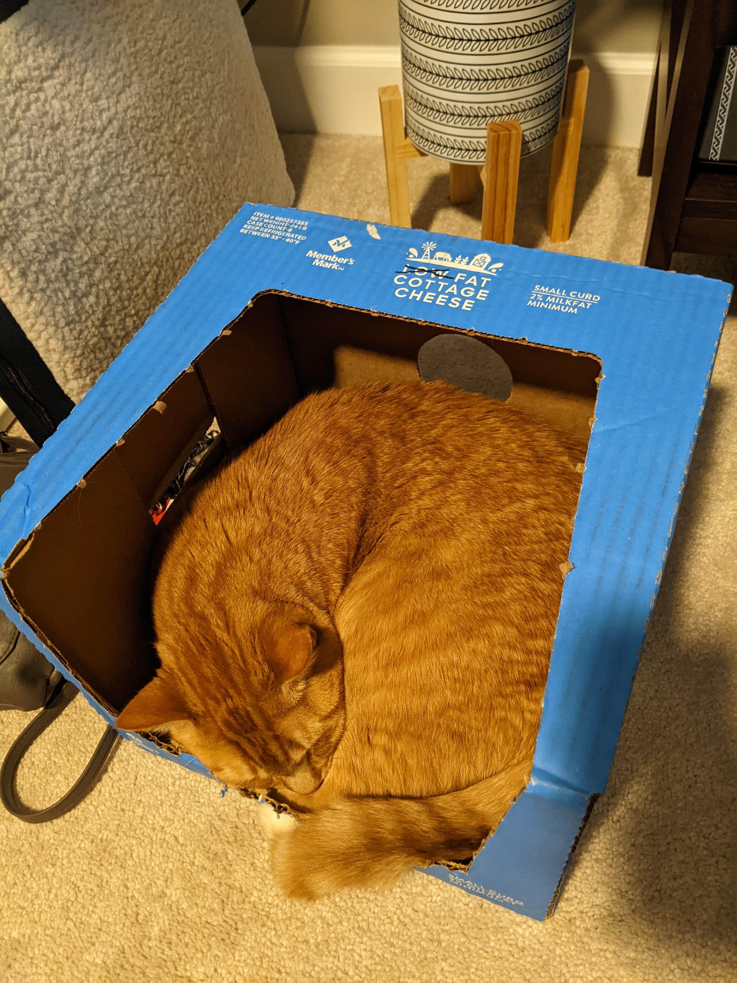 Packaged accordingly | Scrolller