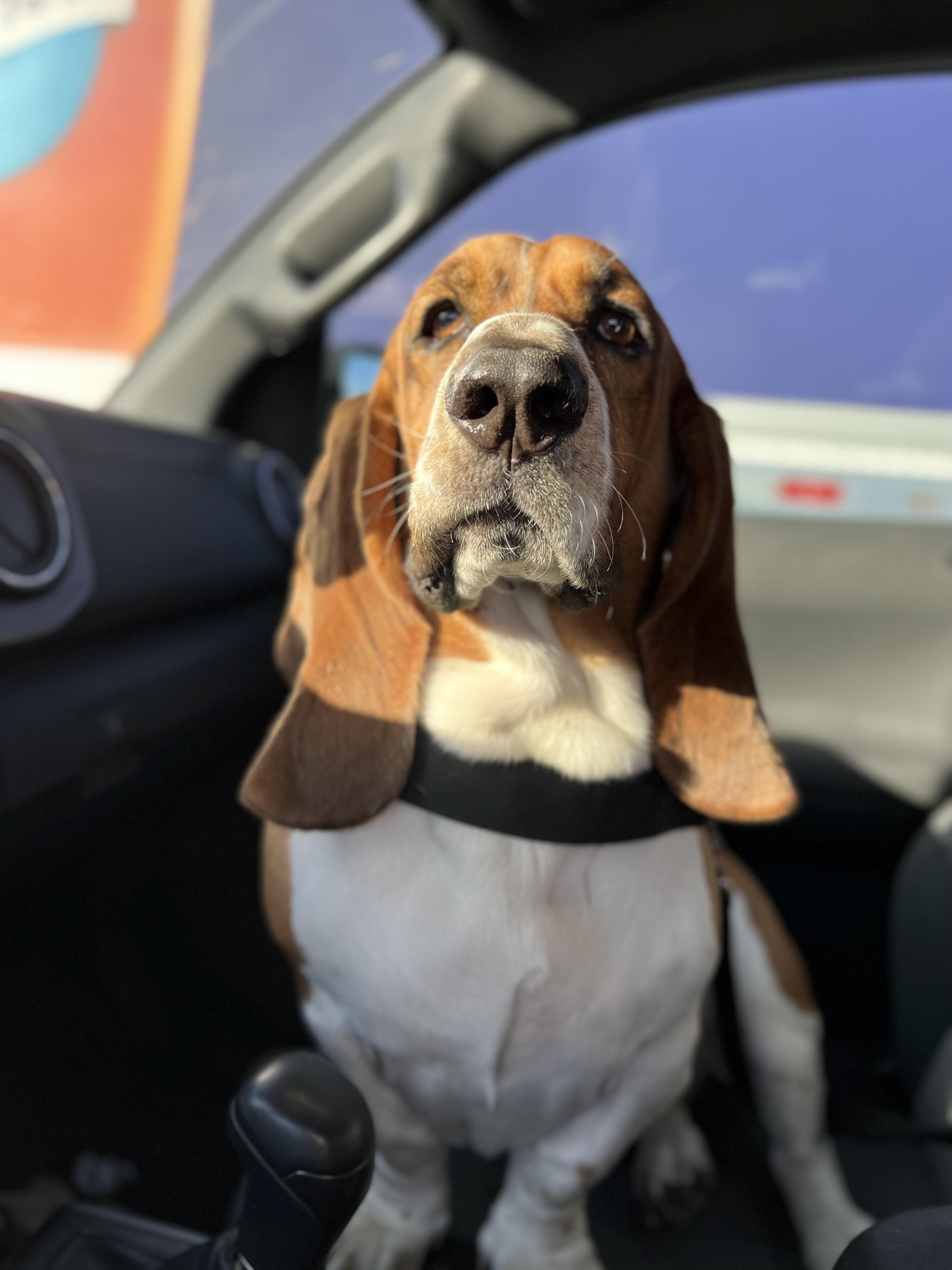 Co pilot | Scrolller