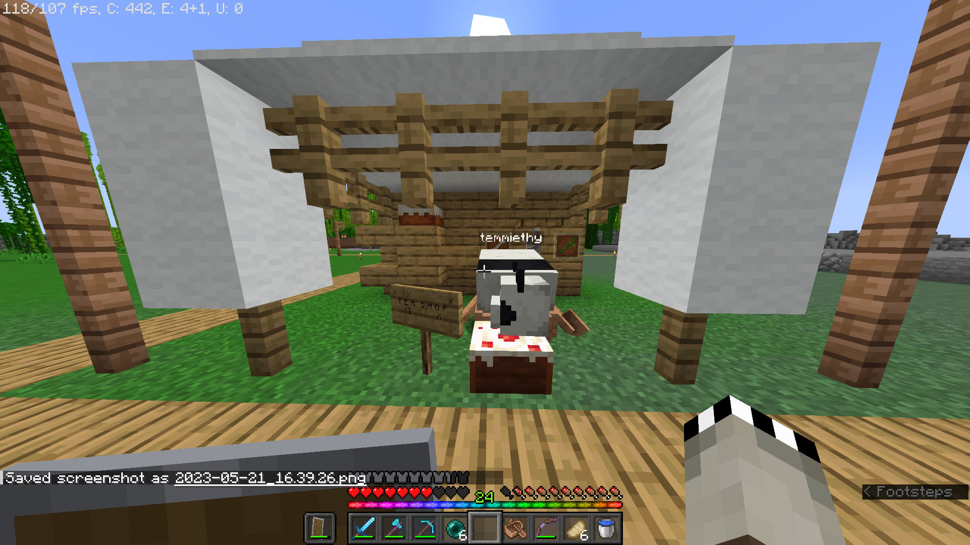 Me and my friends made a tem shop from undertale, meet temmiethy the ...