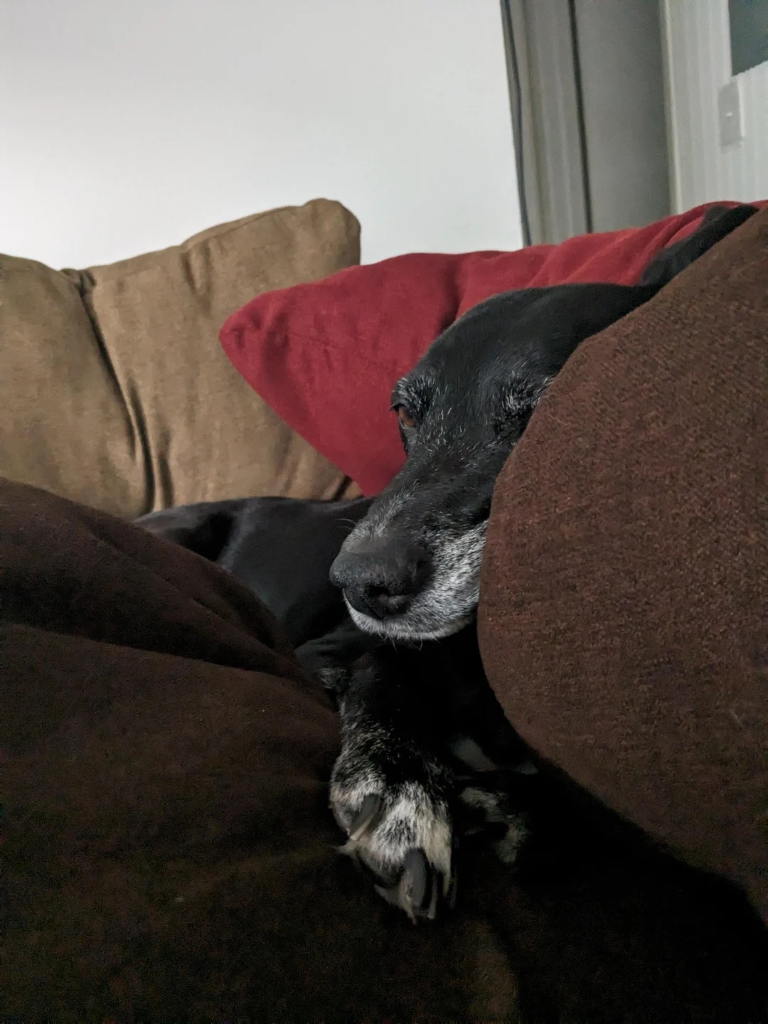 So comfy | Scrolller